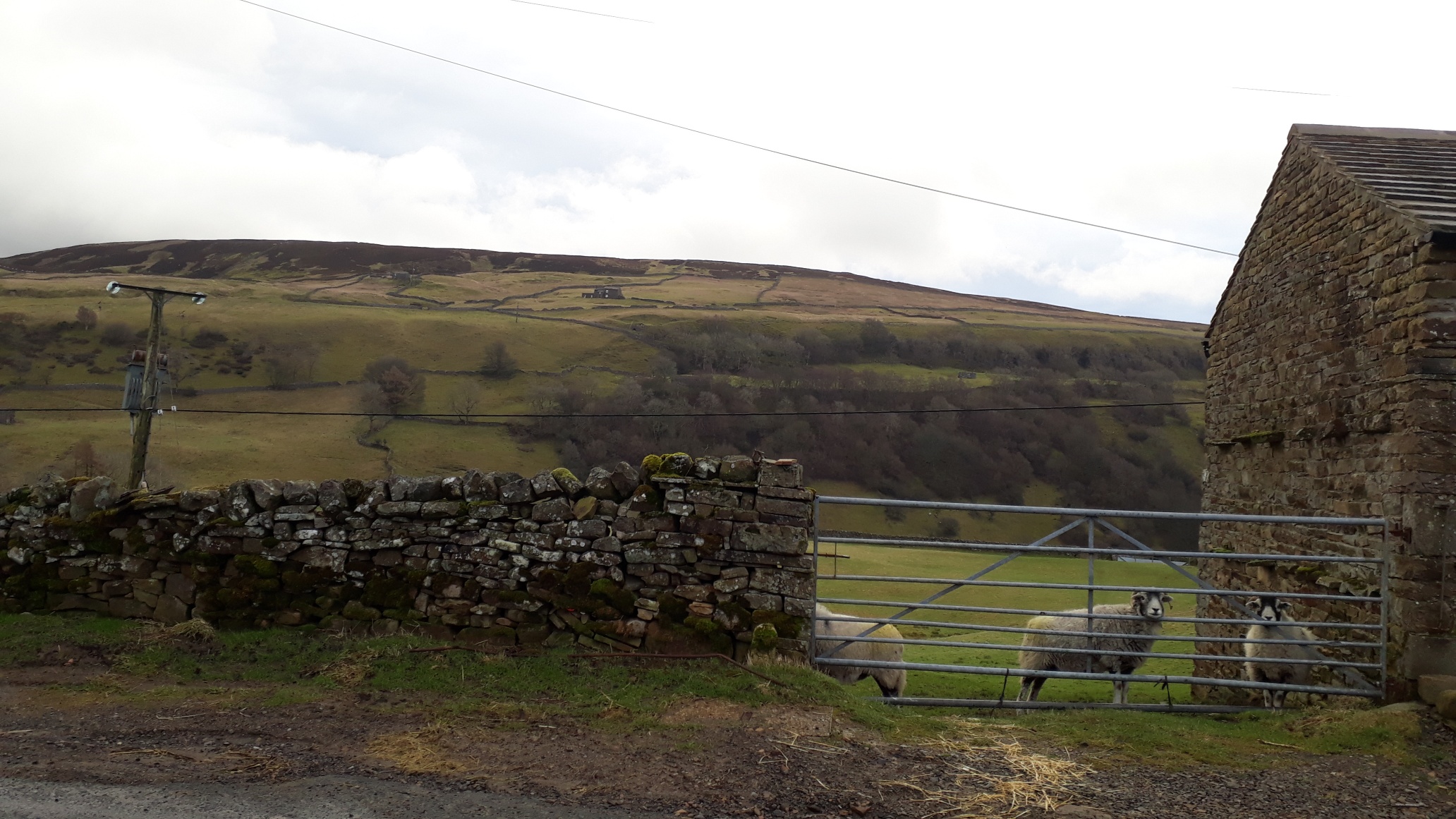 SwaleLife CIC – Welcoms Network Services